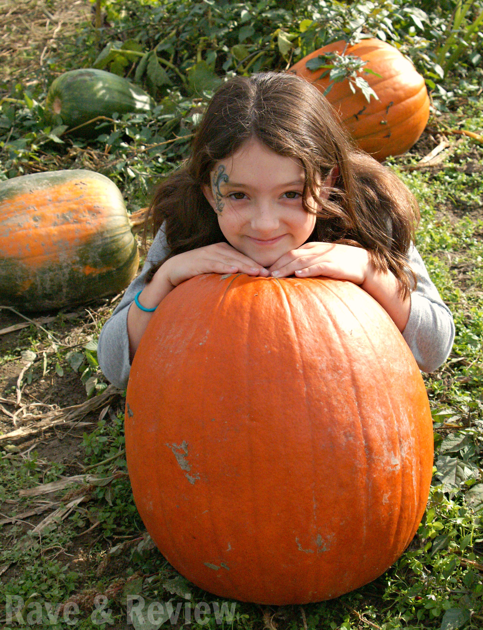 5 Fall Activities For Families 5 Fall Activities For Families