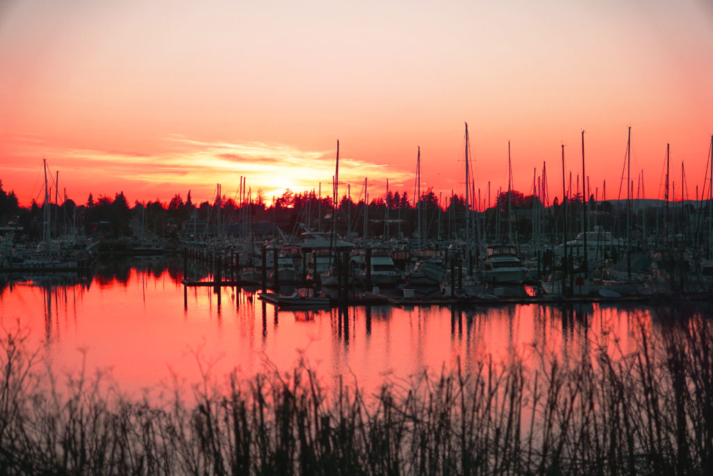 Exploring Cap Sante Park in Anacortes, WA - Rave & Review