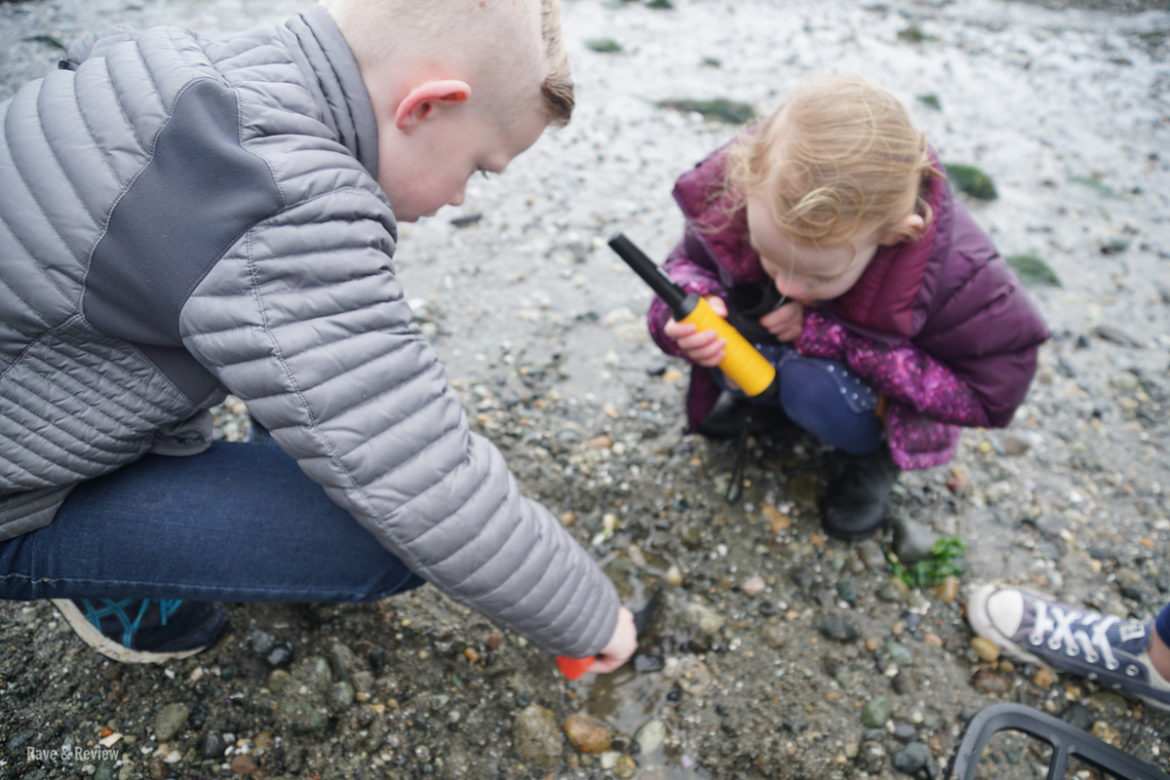 Easy treasure hunting with the GO-FIND 66 from Minelab - Rave & Review