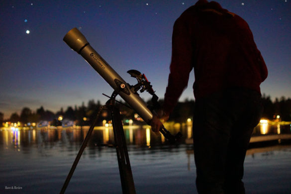 Earn the Junior Ranger Night Explorer Badge from home - Rave & Review