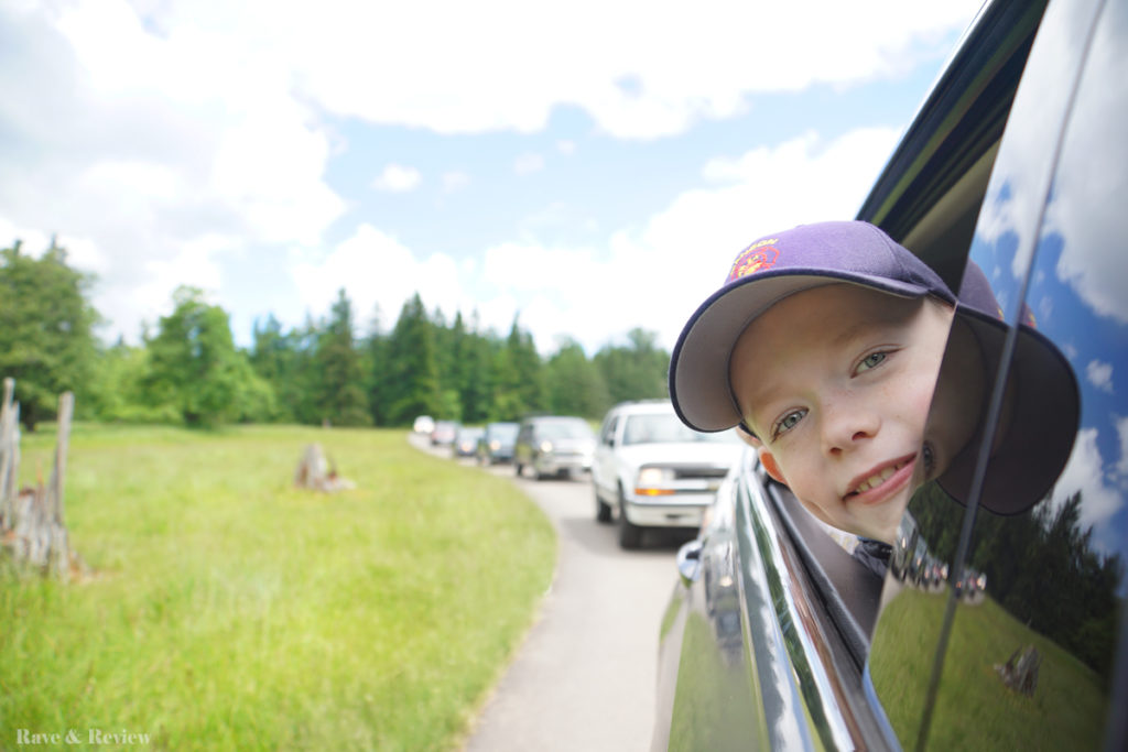 Our Wild Drive Experience at Northwest Trek - Rave & Review