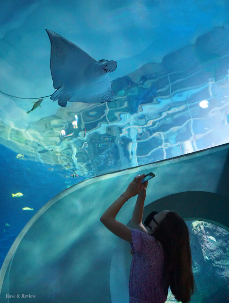 Social distanced visit to Point Defiance Zoo & Aquarium - Rave & Review