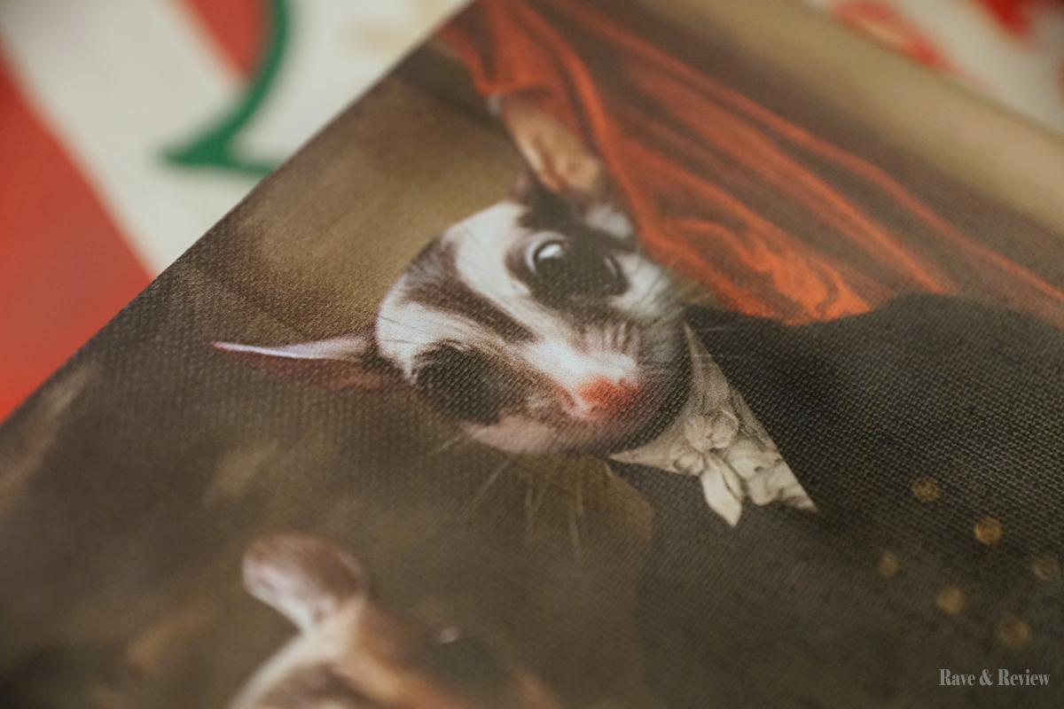 Crown & Paw custom pet portrait - Rave & Review