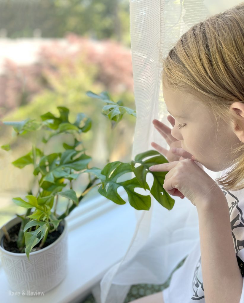 The best gifts for plant lovers - Rave & Review